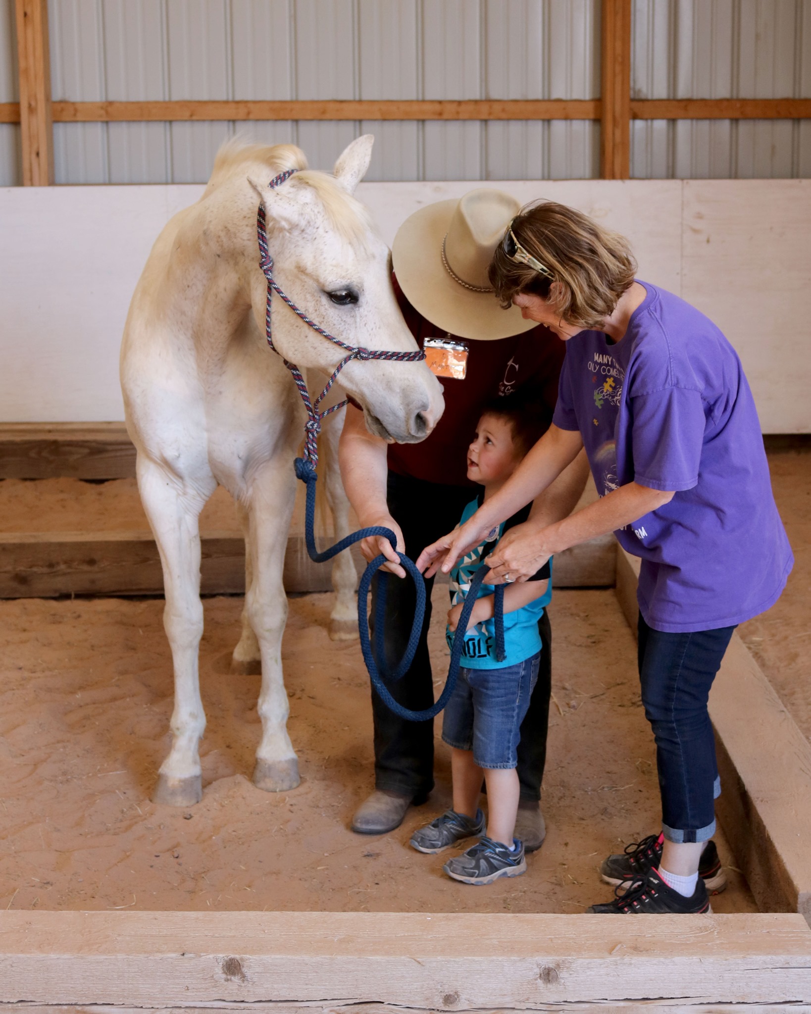 Meet a Horse Day Waiver