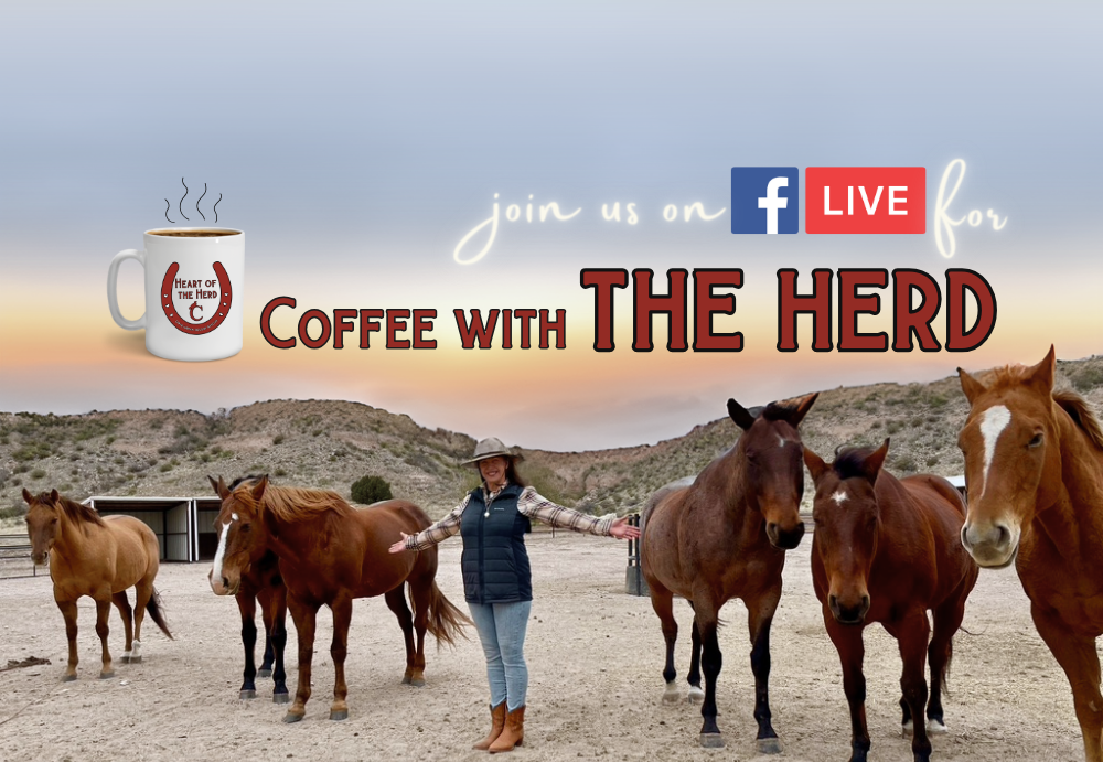 Facebook Live Coffee with The Herd